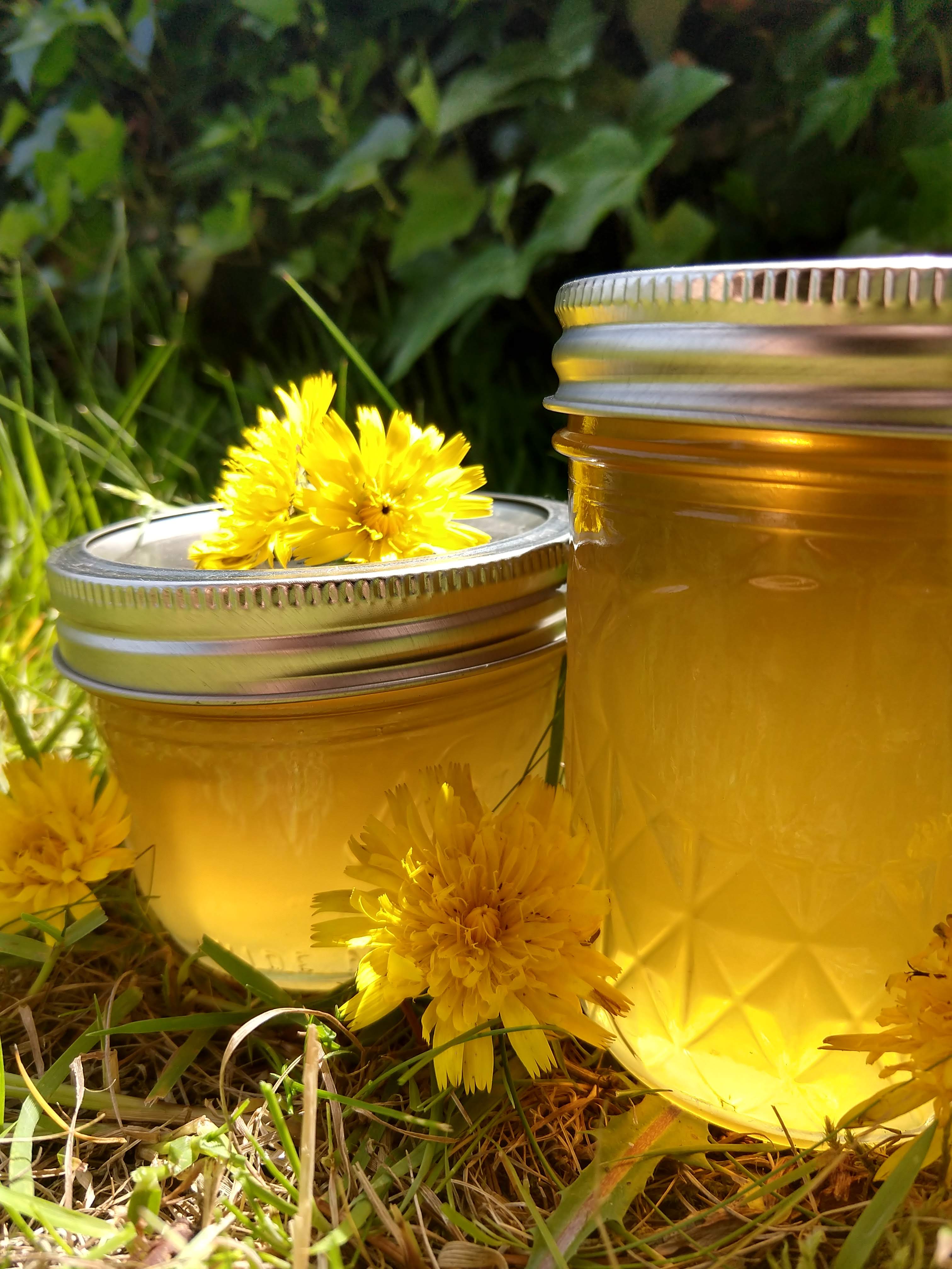 HOW TO MAKE DANDELION JELLY – Sakuto Knives